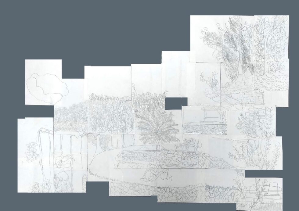 Hockney Explorations | Isha Gangoly